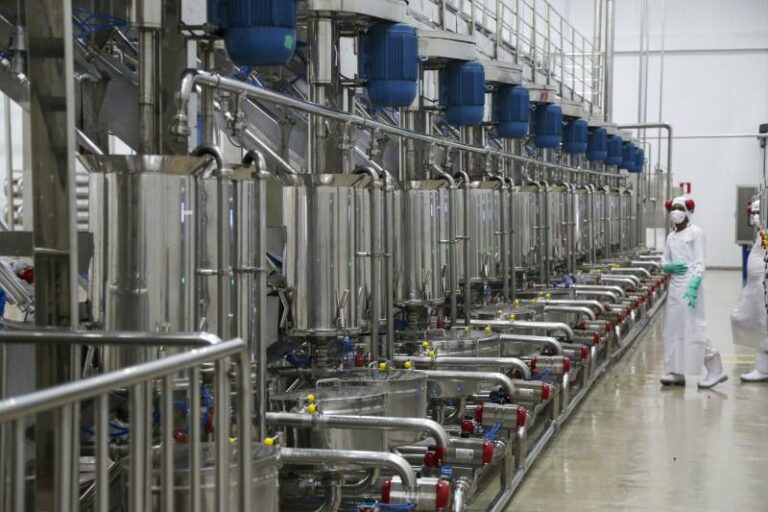 Benevides recebe fábrica de polpa de açaí com produção de 6 mil ...