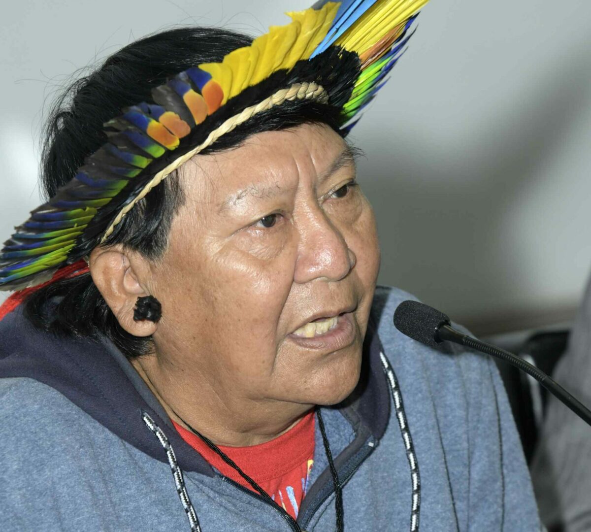 'Minha língua é minha flecha', diz Davi Kopenawa, líder do povo ...