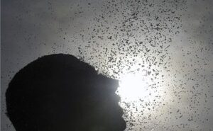Pará tem o maior número de cidades que enfrentaram calor extremo no ...
