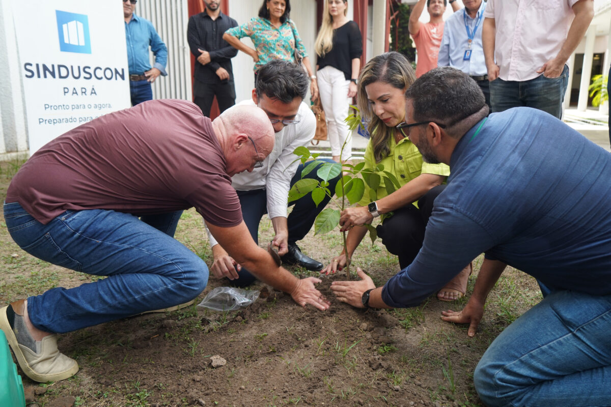 Belém recebe 1.500 mudas para arborização para celebrar o Dia da Árvore ...